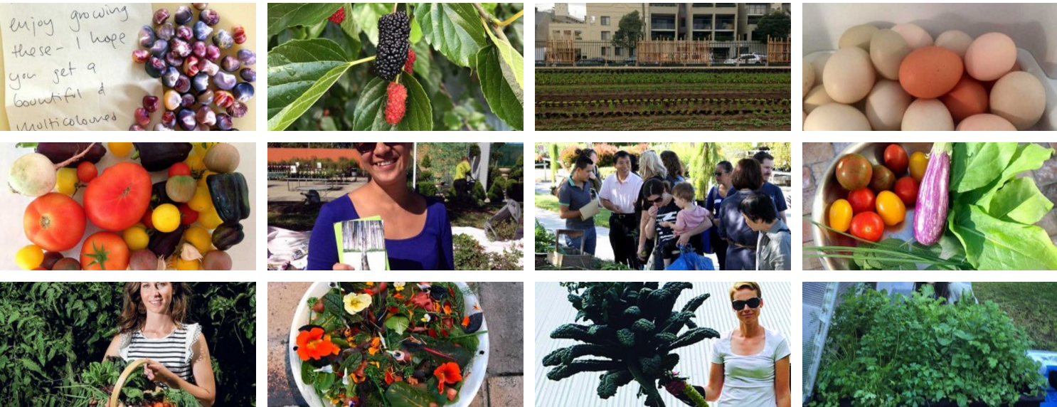 crop-swap-sydney-turns-1-crop-swap-sydney - In the Cove