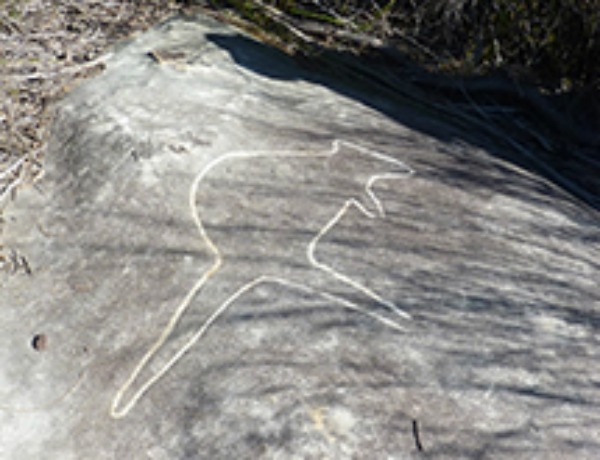 aboriginal engraving - In the Cove
