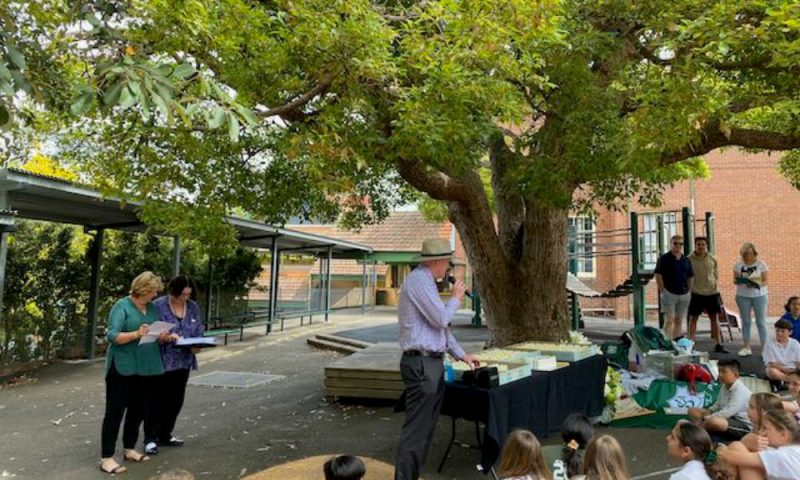 Lane Cove Public School Celebrates the Longueville Road Building's ...