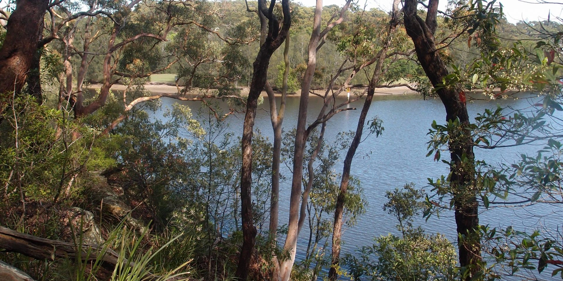 Saltwater Country, Saltwater People - In the Cove