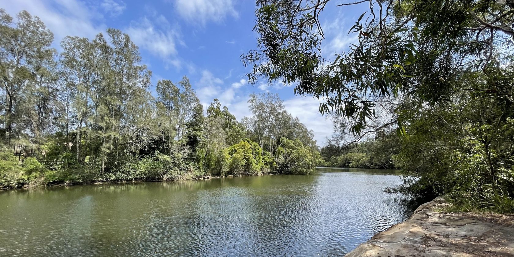Lane Cove River Discovery Walk - In the Cove