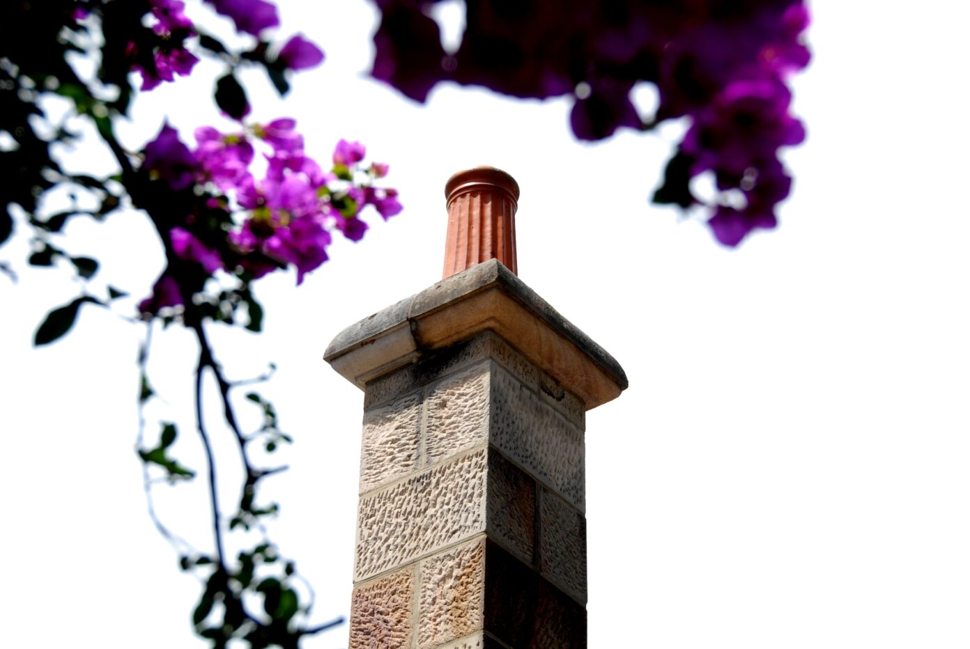 Carisbrook House Devonshire Tea Weekend - In the Cove